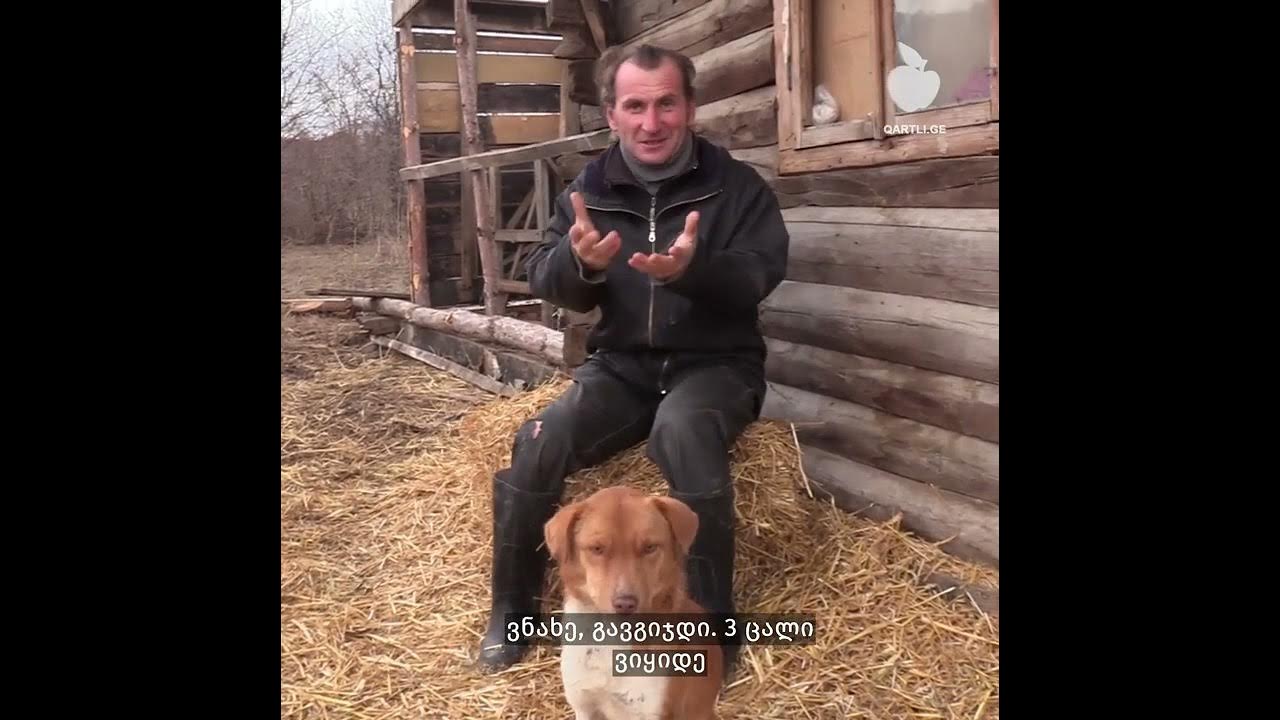 ცხოვრება მშვენიერია მსახიობი ზურა სტეფნაძე ხაშურიდან სოფელში