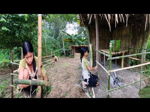 Orphan Girl: Living Alone - Cutting Bamboo to Weave a Fence to Build a New Life