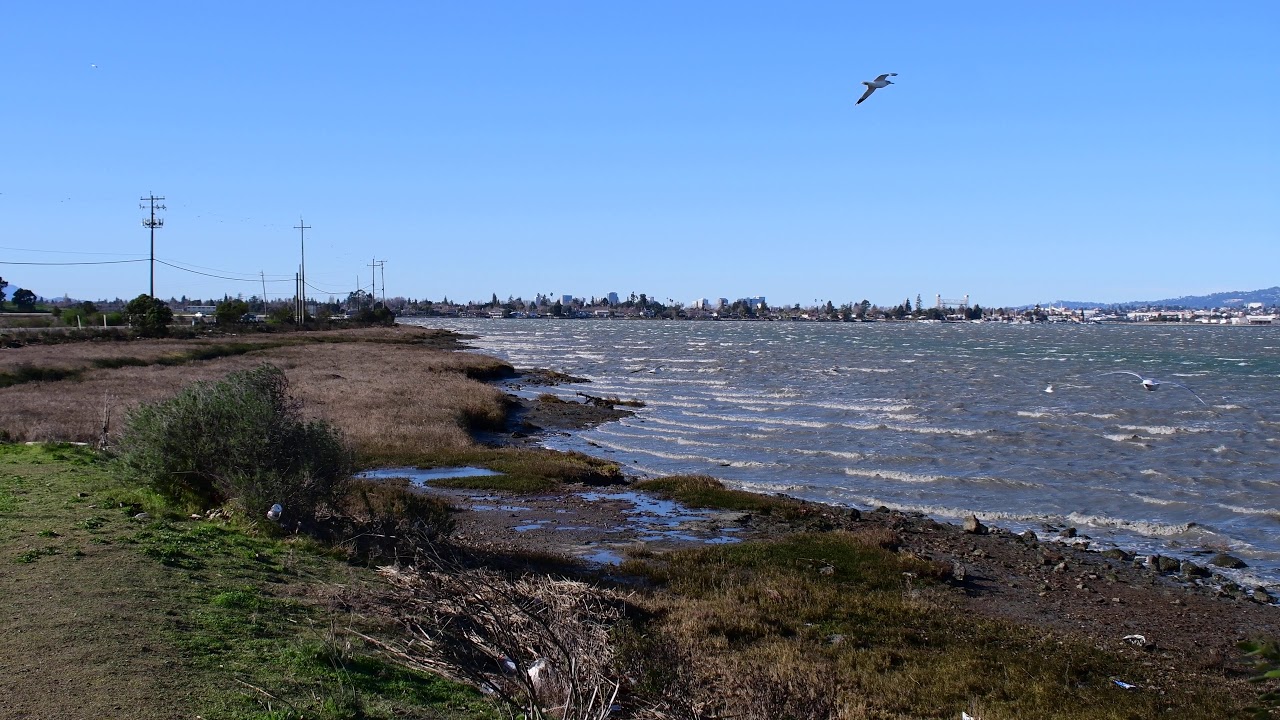 Windy day on San Leandro Bay - YouTube