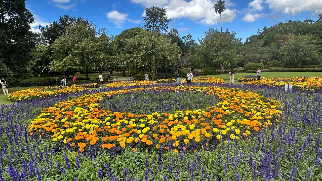 Class Excursion (City Botanic Gardens | Project Video) - YouTube