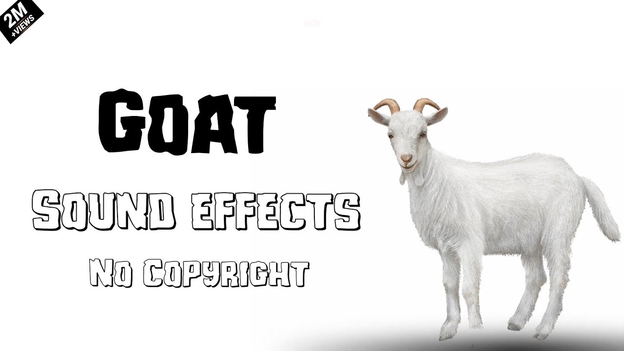 Goat Sound Effect || Goat Sound No Copyright - YouTube