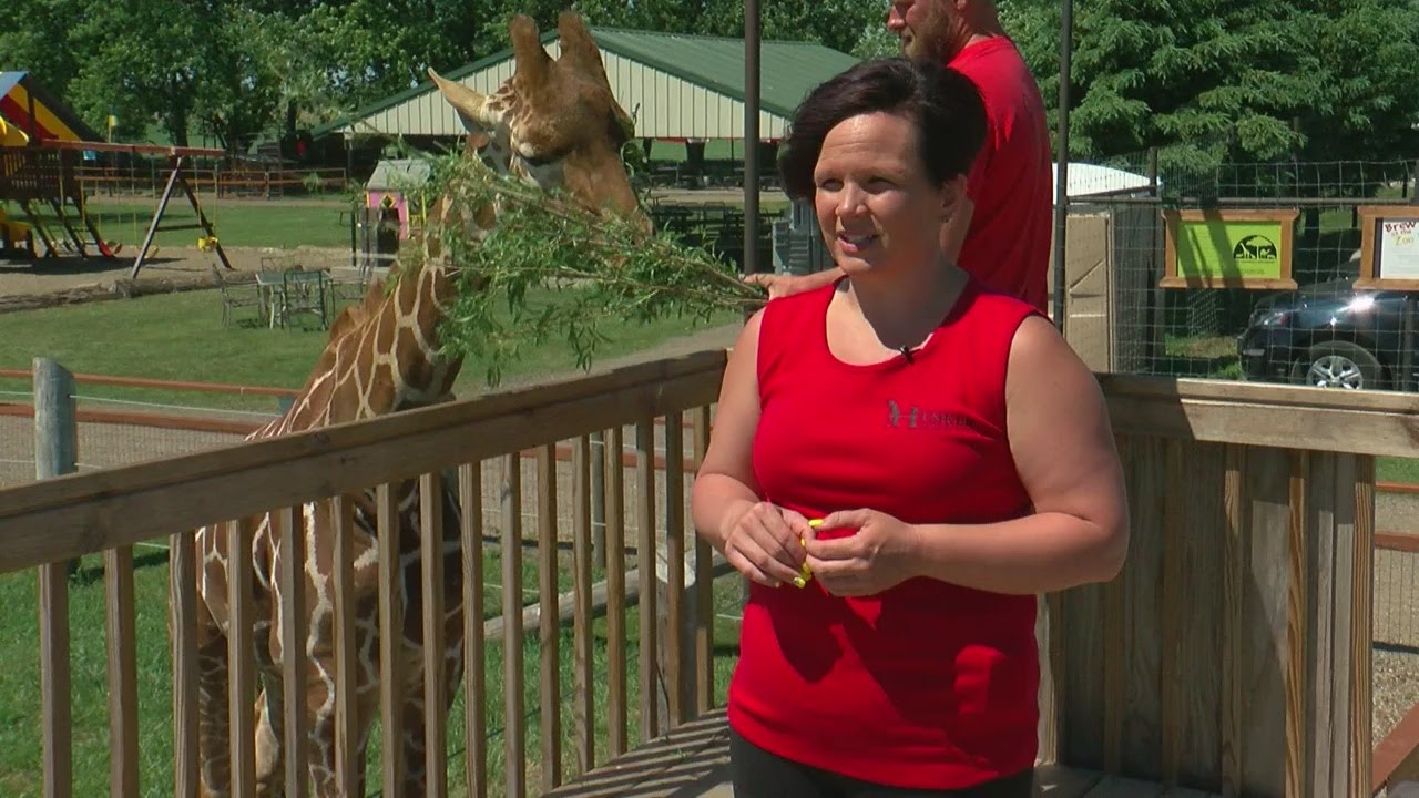 Finding Minnesota: Family-Owned Hemker Park & Zoo - YouTube