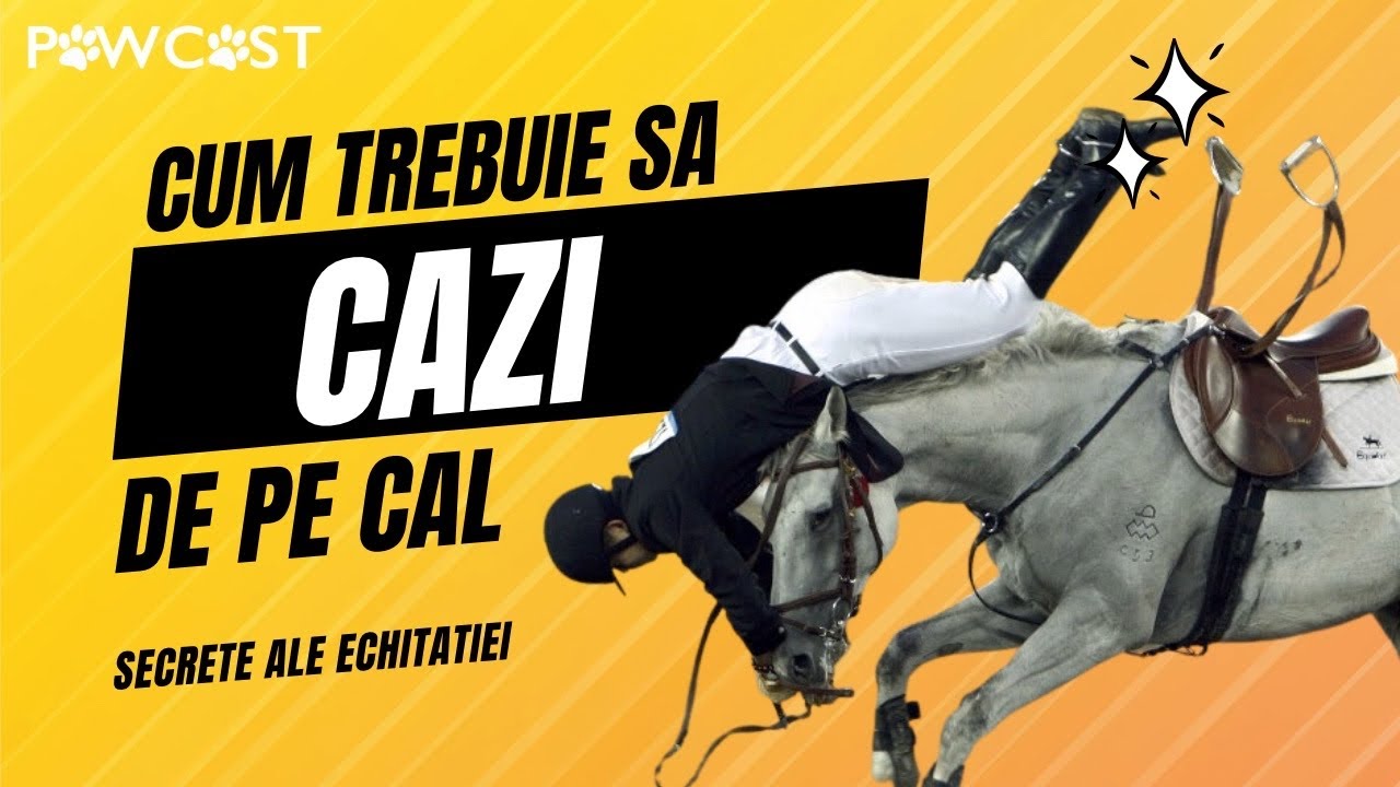 Cum CAZI DE PE CAL | SECRETELE ECHITATIEI sportive | Pawcast - YouTube