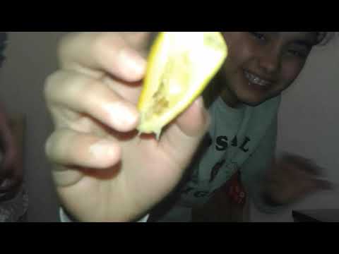 Herşeye Evet Oynadık