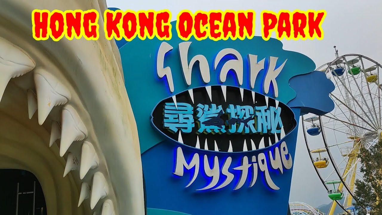 SHARK MYSTIQUE - YouTube