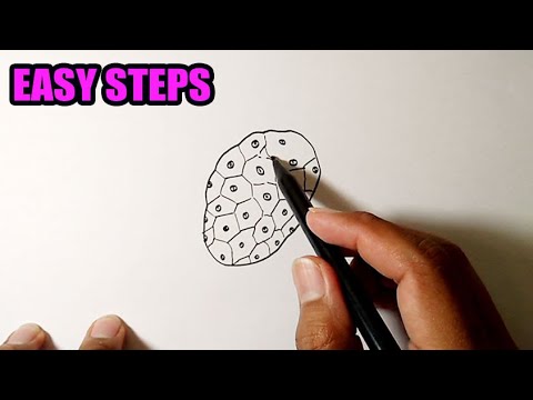How to draw a noni fruit | Simple Easy Drawing - YouTube