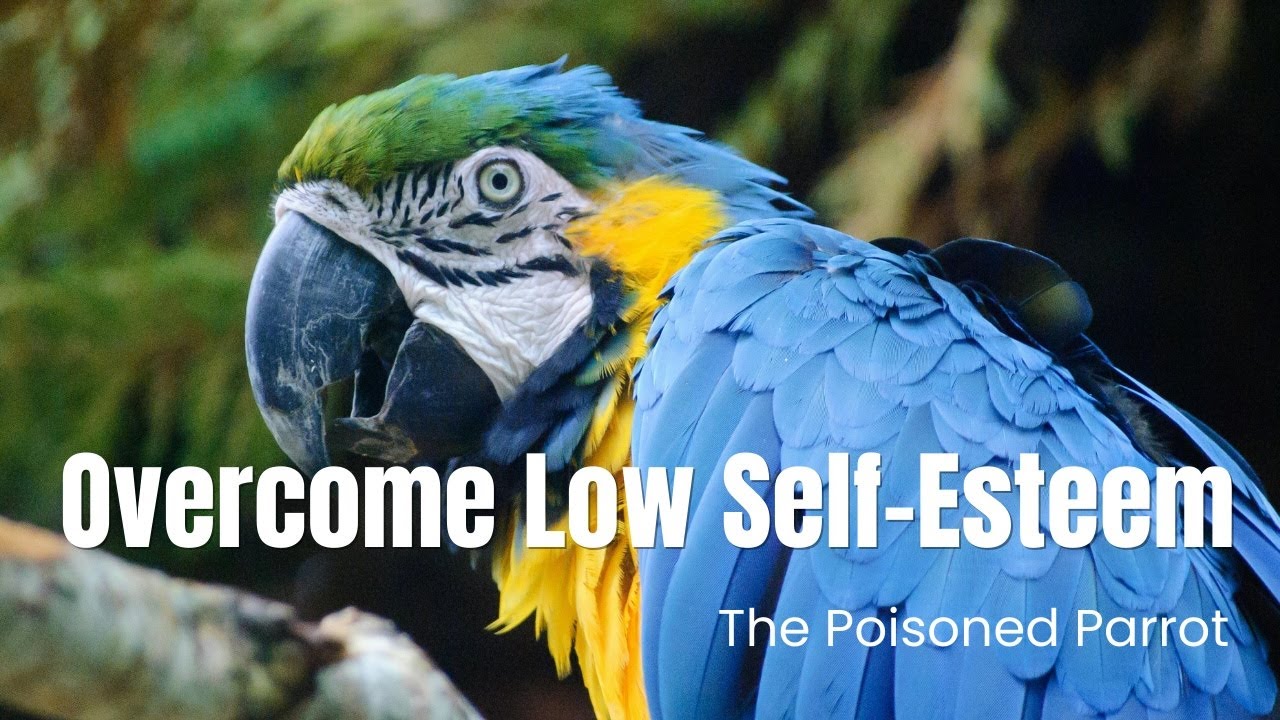 Overcome Low Self-Esteem | The Poisoned Parrot Story | Hypnotherapy ...