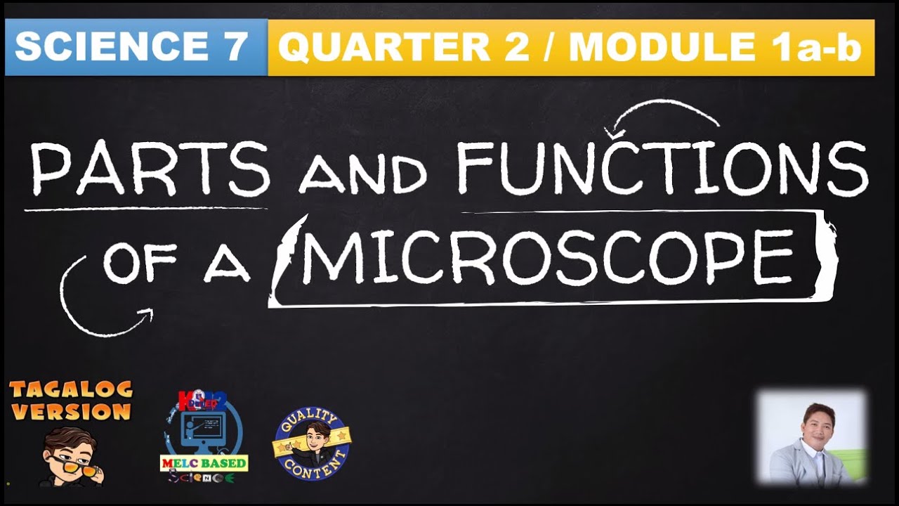 PARTS AND FUNCTIONS OF A MICROSCOPE, MAGNIFICATION COMPUTATION. SCIENCE ...