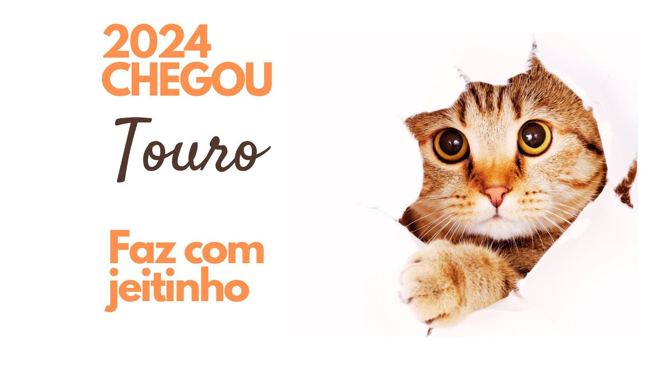 TOURO♉️FAZ COM JEITINHO-TERÇA-FEIRA #touro #signos #tarot # ...