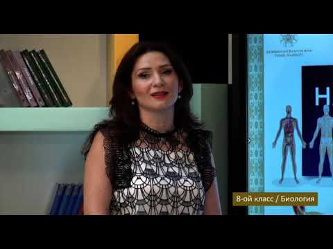 “Dərs vaxtı”: 8-ci sinif dərsləri ( rus bölməsi) (18.09.2020)