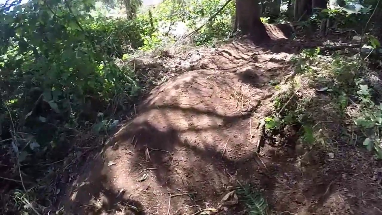 Turd Cutter (Backyard trail) - YouTube