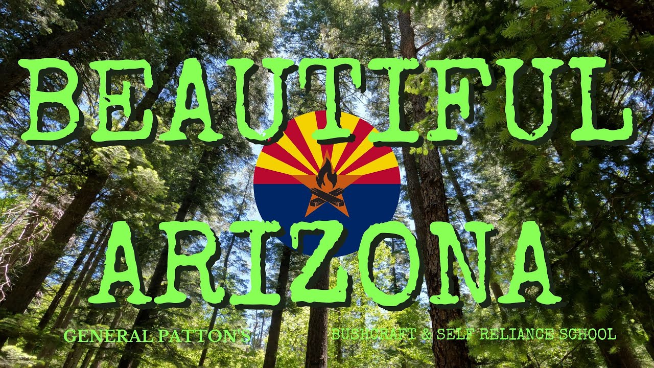 BEAUTIFUL ARIZONA - NATIVE TROUT #bushcraft 🔥🐠🦝 - YouTube