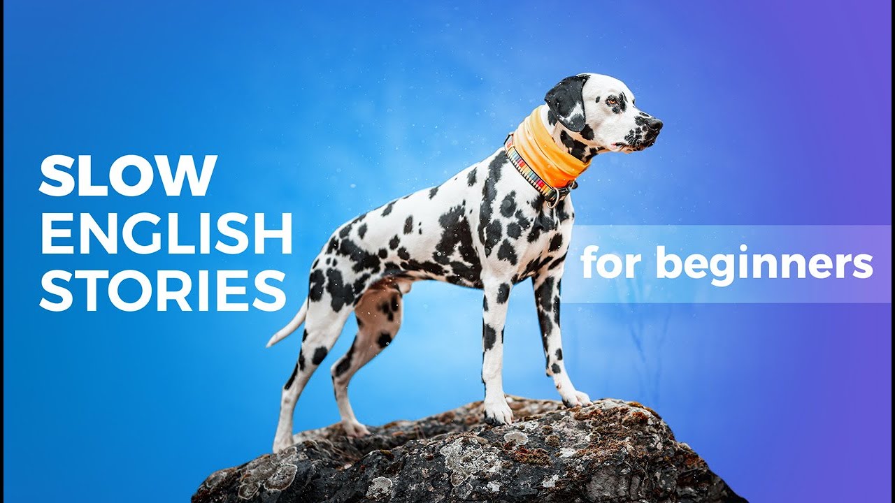 English Short Stories for beginners | Hero the Dog 🐶🦴| Verb HAVE - YouTube