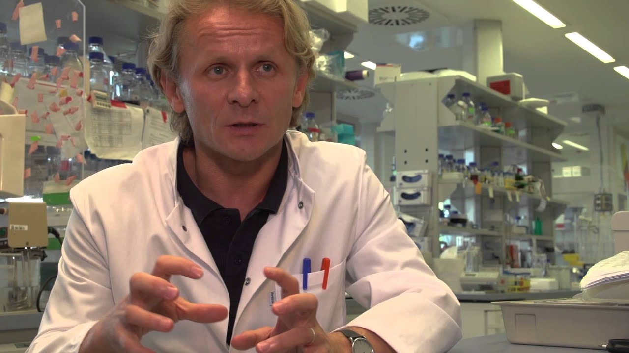 Interview mit Prof. Ivan Dikic, Biochemiker - YouTube
