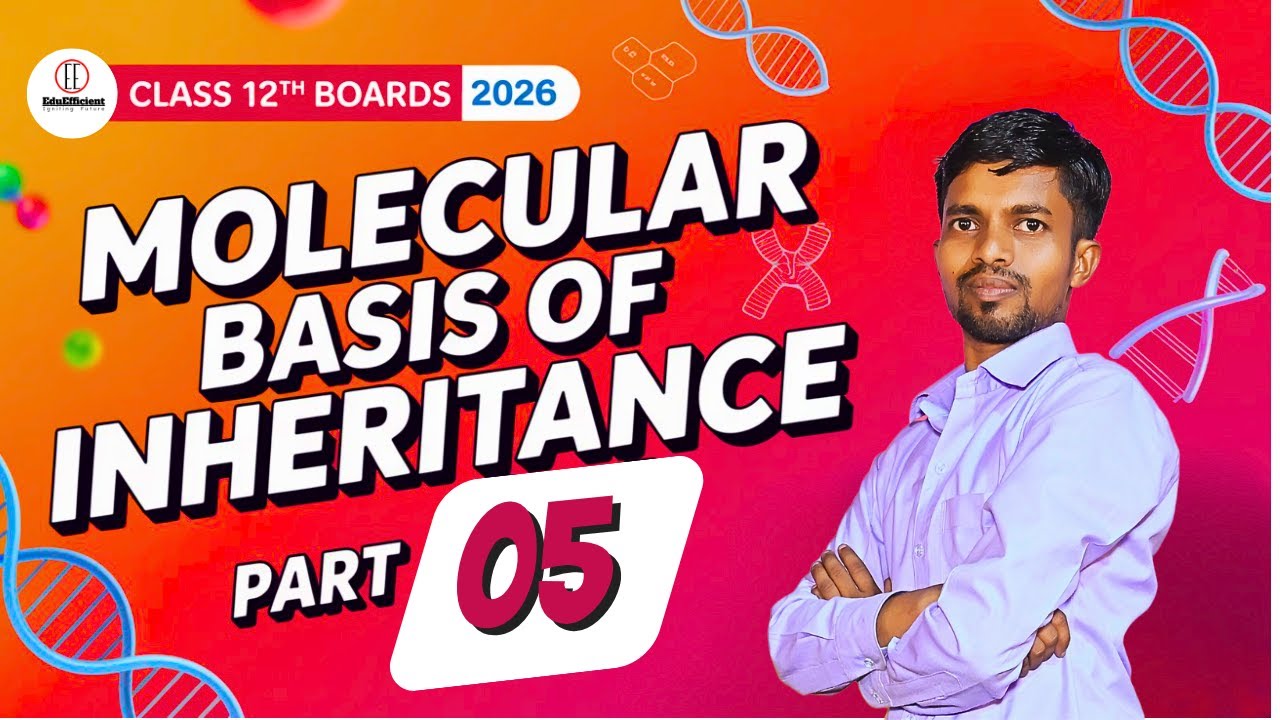 Human Genome project//molecular basis of inheritance //class 12 biology ...