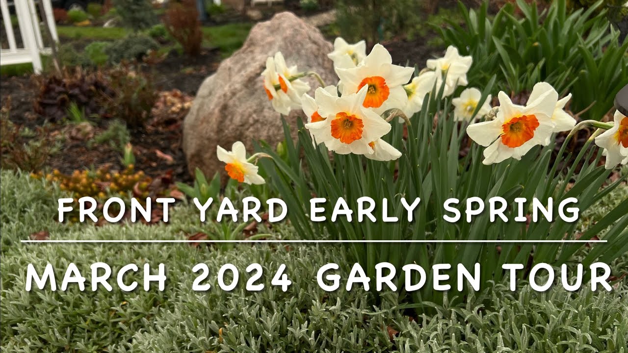 Early Spring Front Yard Garden Tour for March 2024 Ohio Zone 6 - YouTube