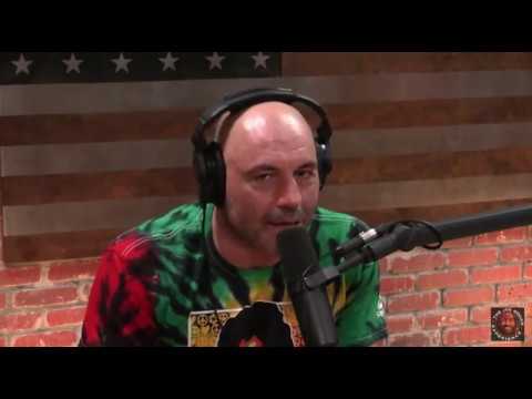 Joe Rogan Gives Duncan Trussell Advice About Kids - YouTube