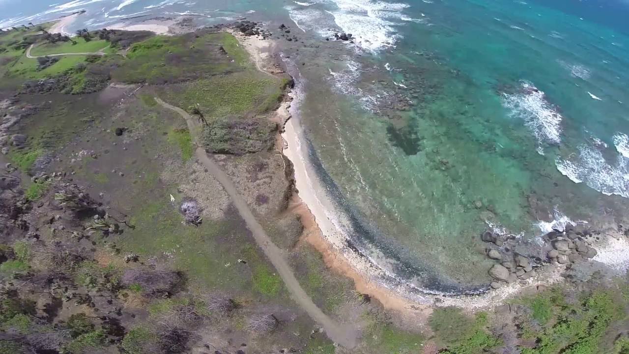 The Cove at Pumpkin Hill - YouTube