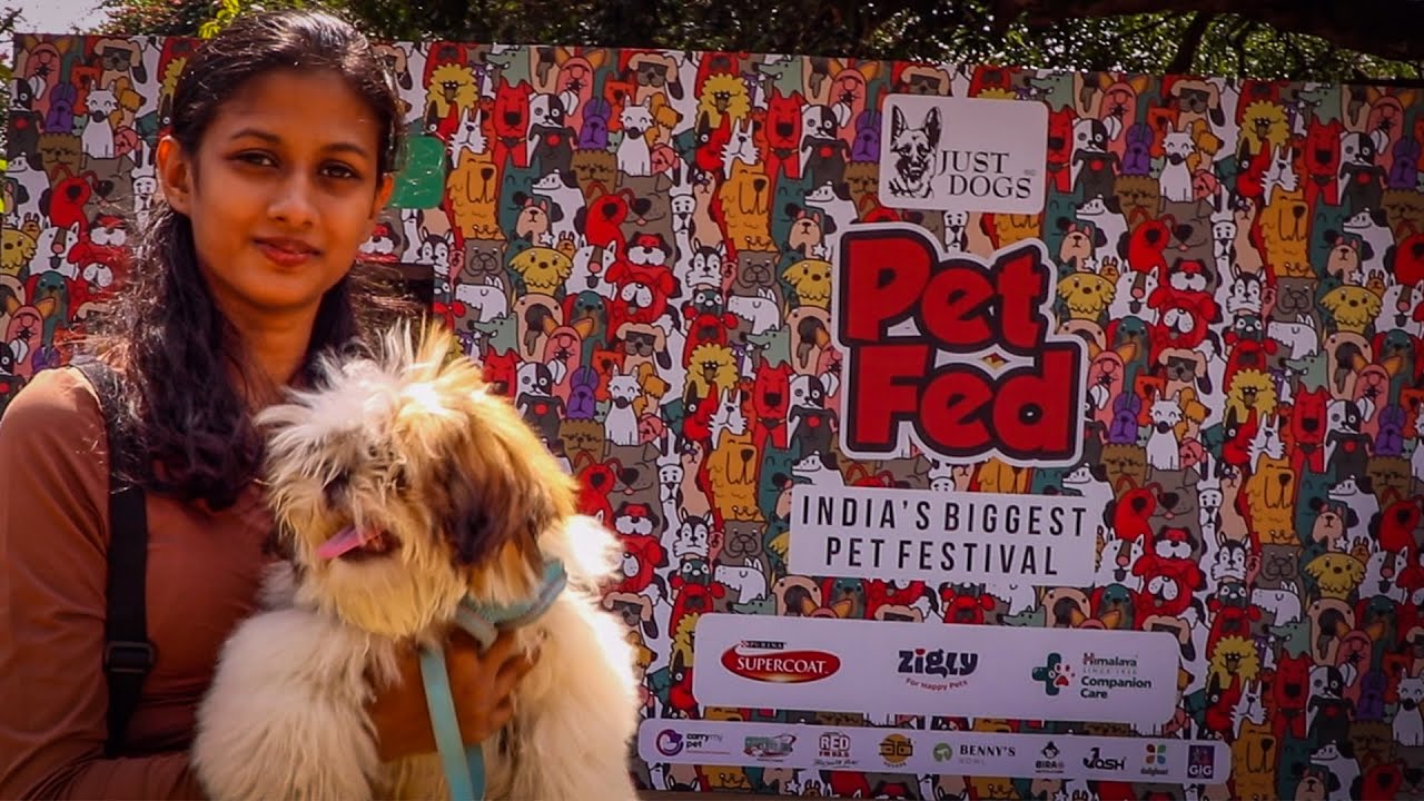 PETFED BENGALURU 2022 | PET FESTIVAL - YouTube