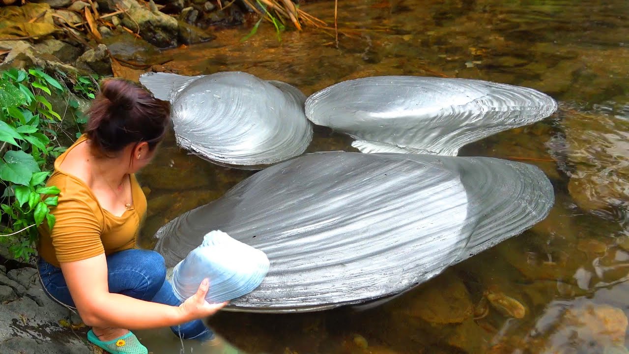 💪💪The girl pried open this huge silver clam, which gave birth to ...