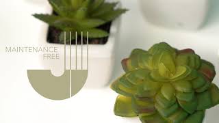 Simple Elements Artificial Assorted Succulents with Ceramic Pots | Potted Decorative Faux Succulent