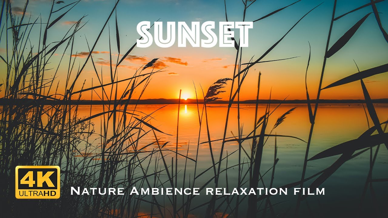 Best 2023 sunset Relaxing Music Peaceful Piano Music & soothing music ...