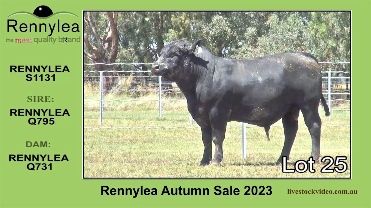 Lot 25 Rennylea March 2023 - YouTube