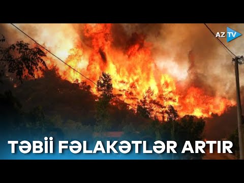 Təbii fəlakətlər: dağıntı, insan tələfatı