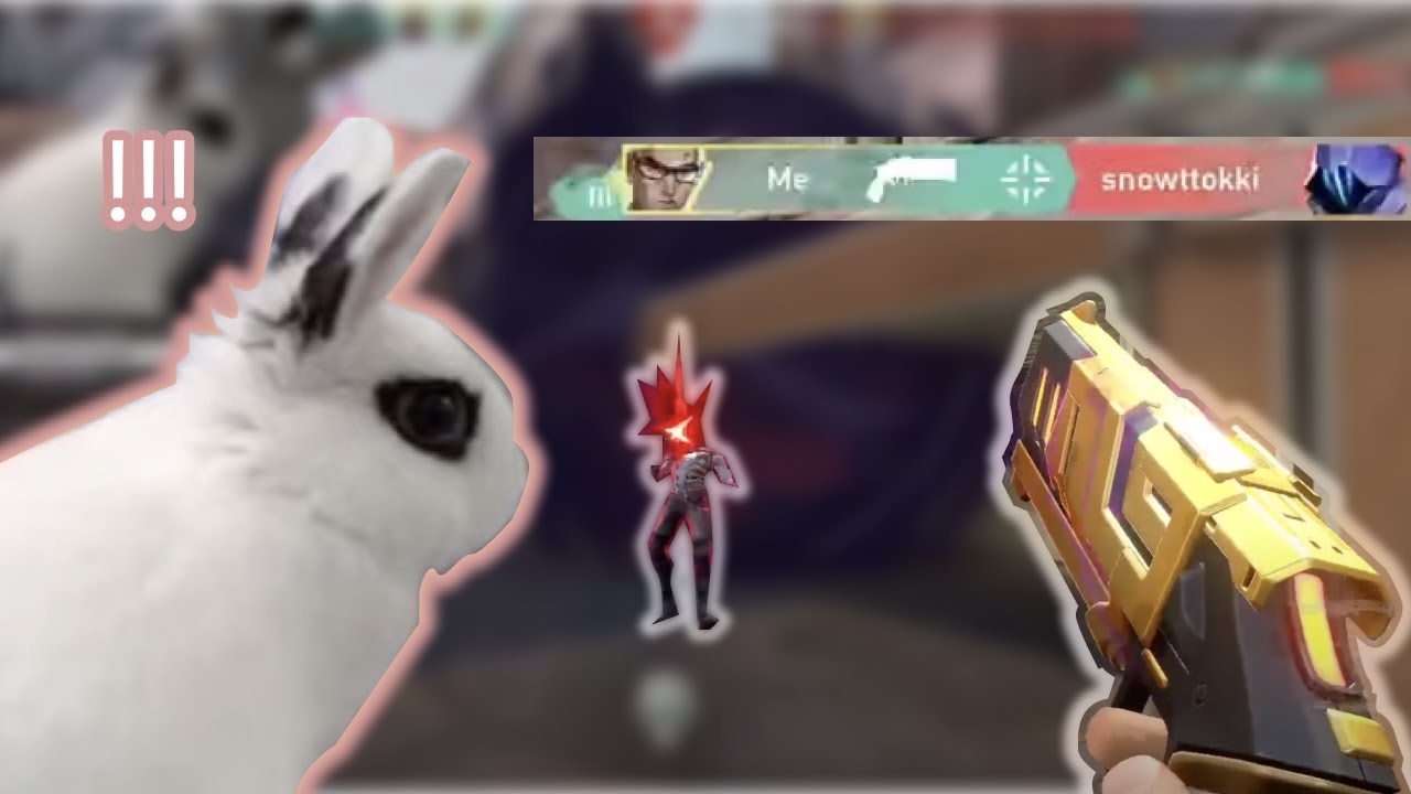 playing valorant with my bunny - YouTube