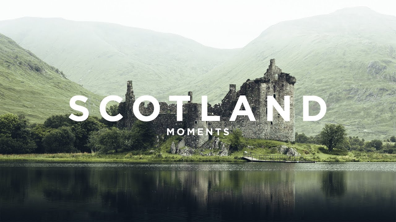 TRAMP CHAMP | MOMENTS @ SCOTLAND 4K - YouTube