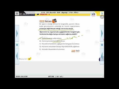 TYT Hazırlık Biyoloji  - Hücre 1 📣