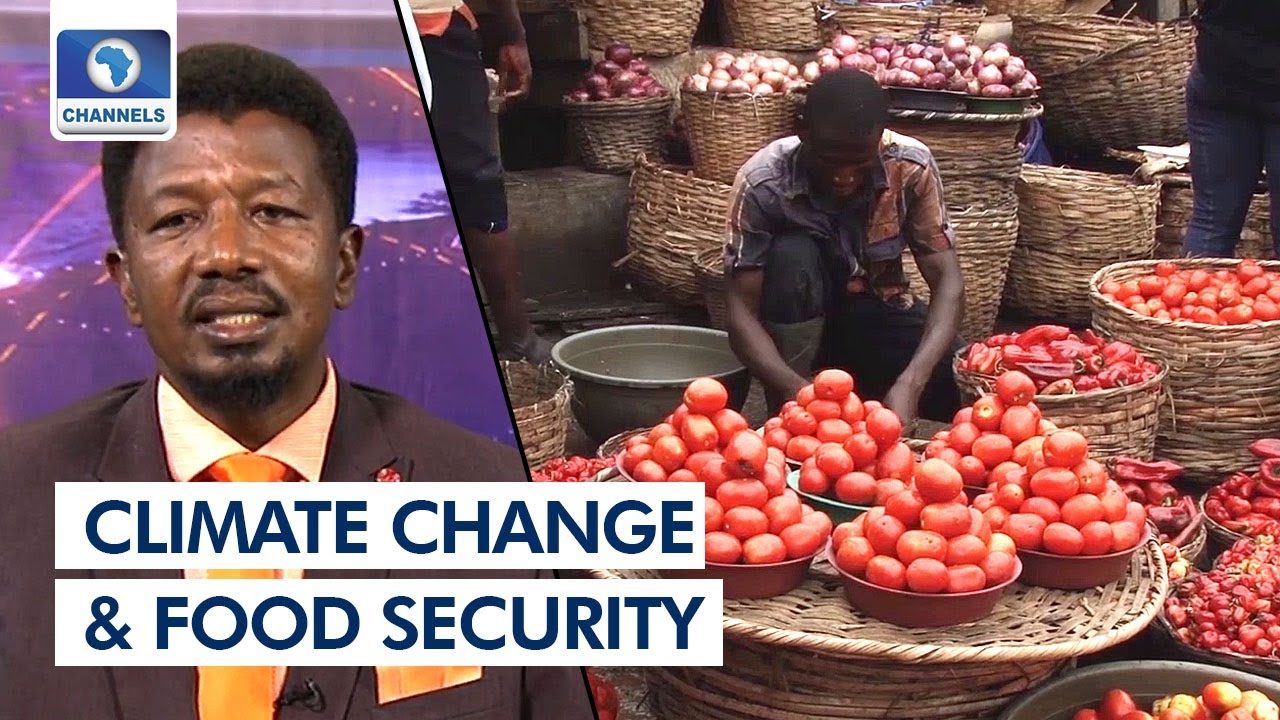How Nigeria Can Achieve Food Security Amid Climate Change - Analyst ...