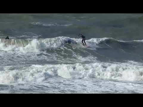 Aberporth Surfers