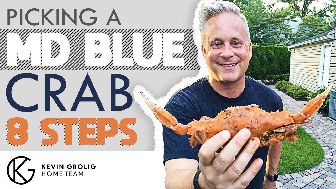 How to Pick a MD Blue Crab - YouTube
