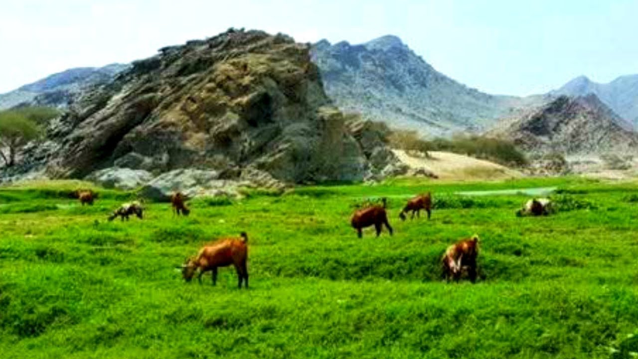 Saudi Arabia has Turned green. The End Time is very NEAR - YouTube