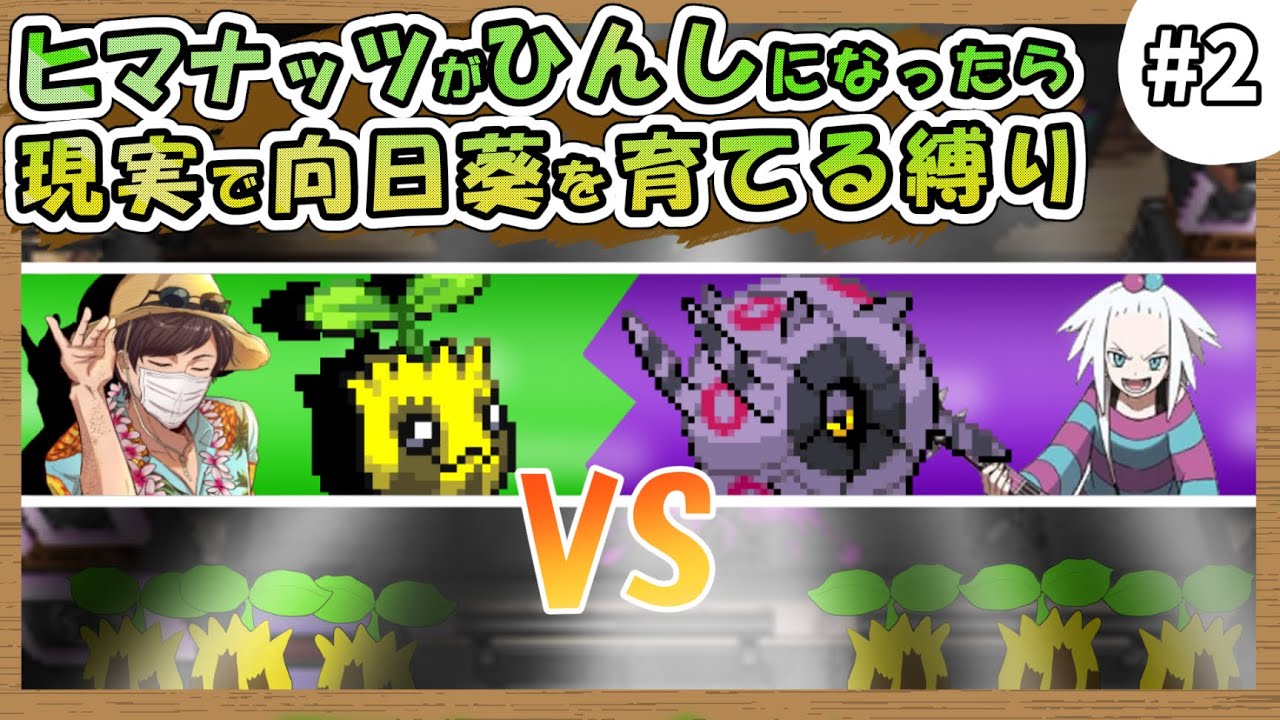 【縛り実況】ヒマナッツがひんしになる度に『現実で向日葵を育てる縛り』#2（BW2） - YouTube