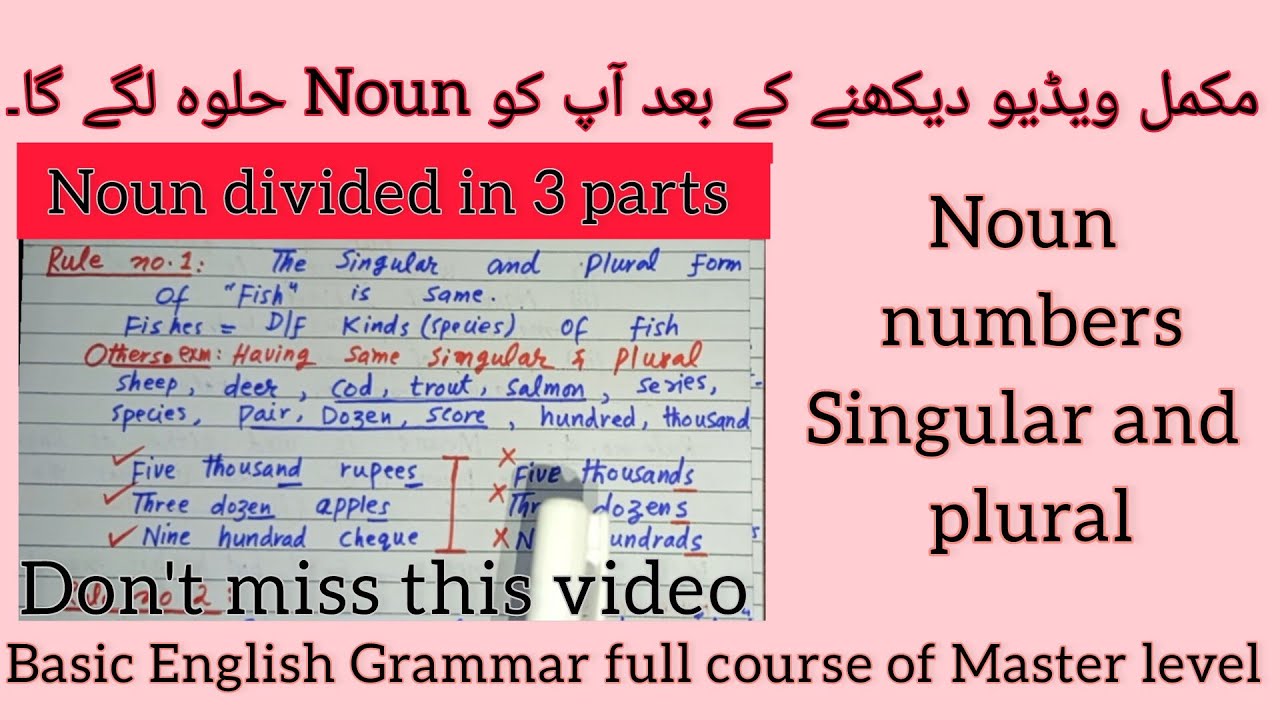 NOUN|Noun and Numbers|Basic to advance grammar course|English Grammar ...