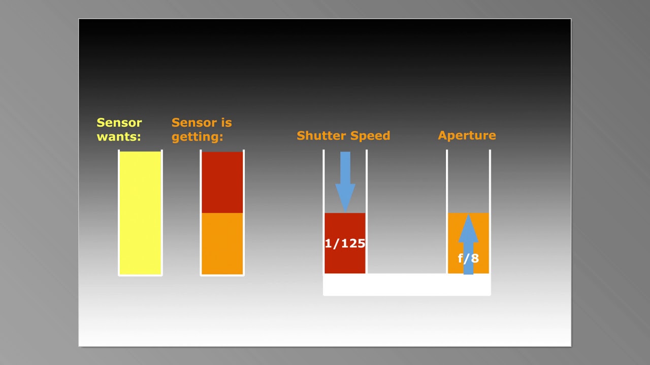 7 Exposure Compensation Photo Cheat Sheet Video - YouTube