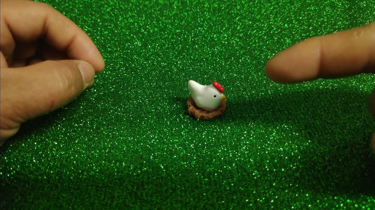 Forcing to chicken for make a chick.stop motion animation try 3rd ...