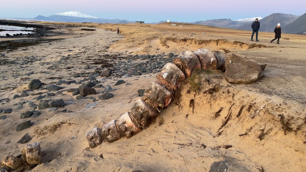 Incredible Wonders of Snæfellsnes National Park in western Iceland ...
