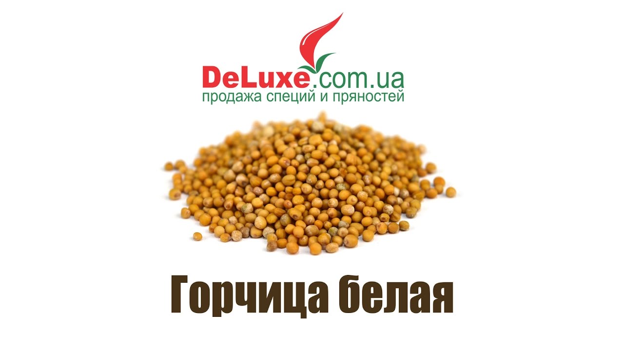 Горчица белая Youtube
