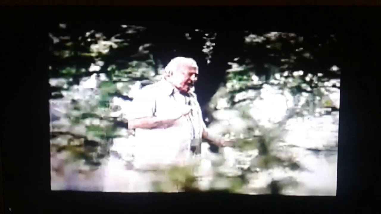 Geico Insurance The Gecko's Journey TV Commercial (May 2008) - YouTube