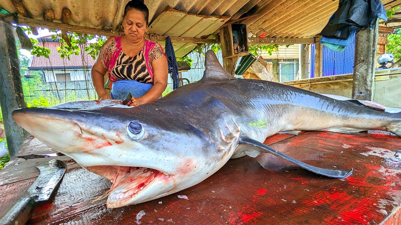 Wow!! Beautiful Nature Rural Village Huge Shark Fish Cutting in Village ...