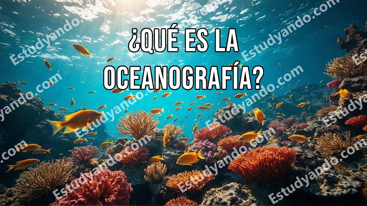 ¿Qué es la Oceanografía? - YouTube