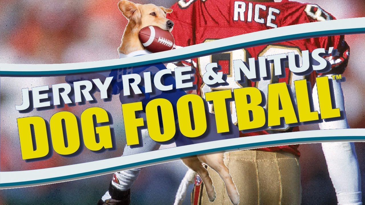 The Best Football Game! - Jerry Rice & Nitus' Dog Football - YouTube
