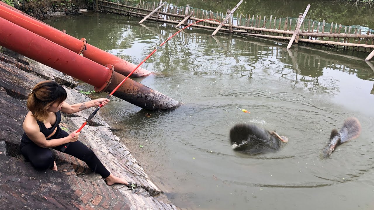 Super Amazing Fishing! Single Mom Fishing, Unique Big Catfish Hunting ...