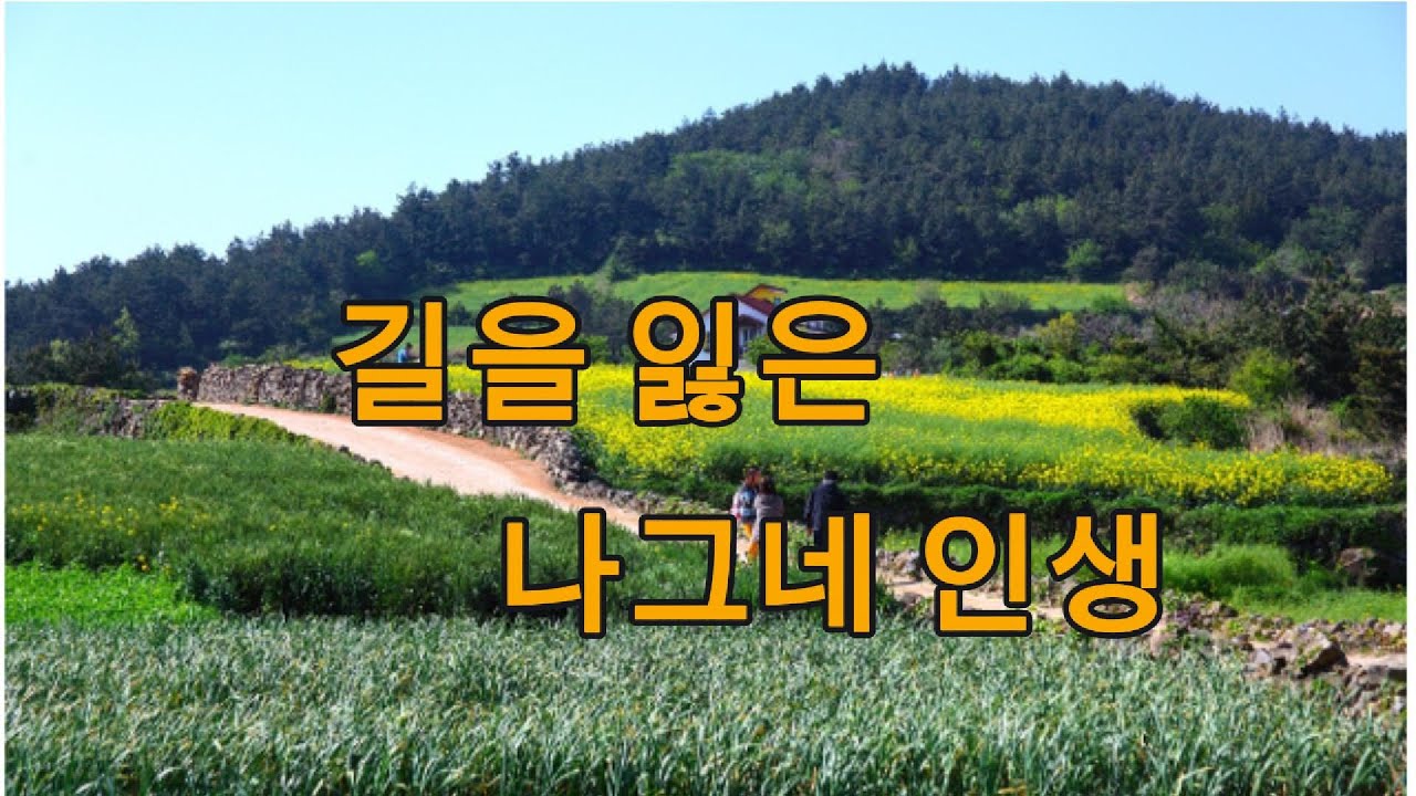 길을 잃은 나그네 인생 Youtube