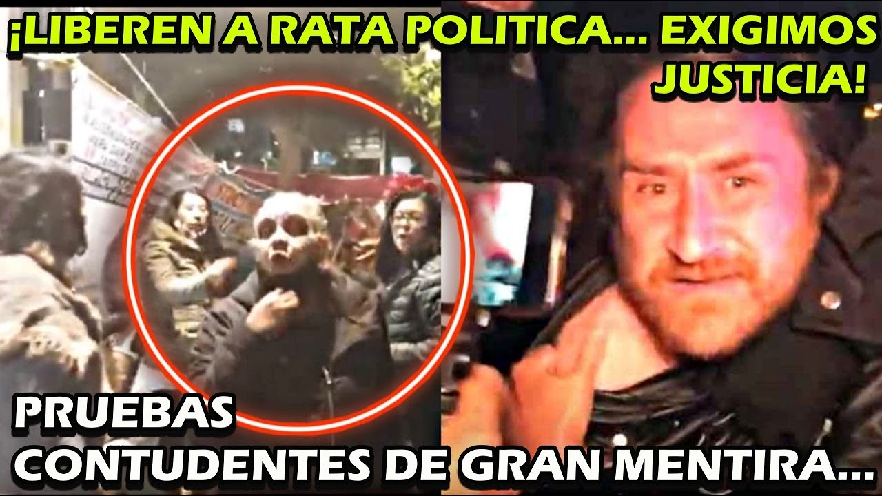 ¡ LIBEREN A RATA POLITICA ! PRUEBAS CONTUNDENTES DE GRAN MENTIRA DE LO ...