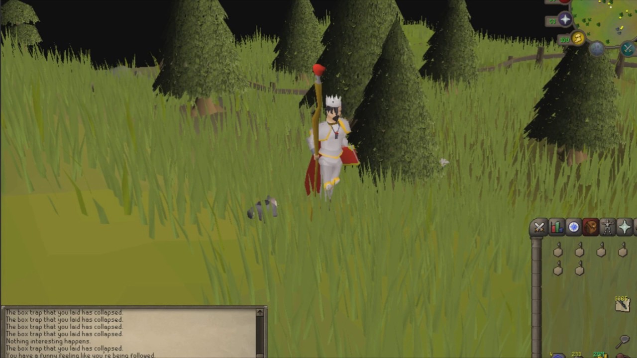 Level 55 Hunter Chinchompa Pet Achieved... (1/131k) - YouTube