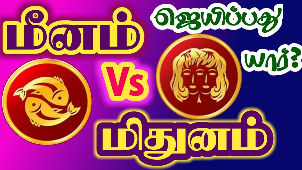 Meena rasi Mithuna rasi palangal மீனம் ராசி Vs மிதுனம் ராசி யார் ...